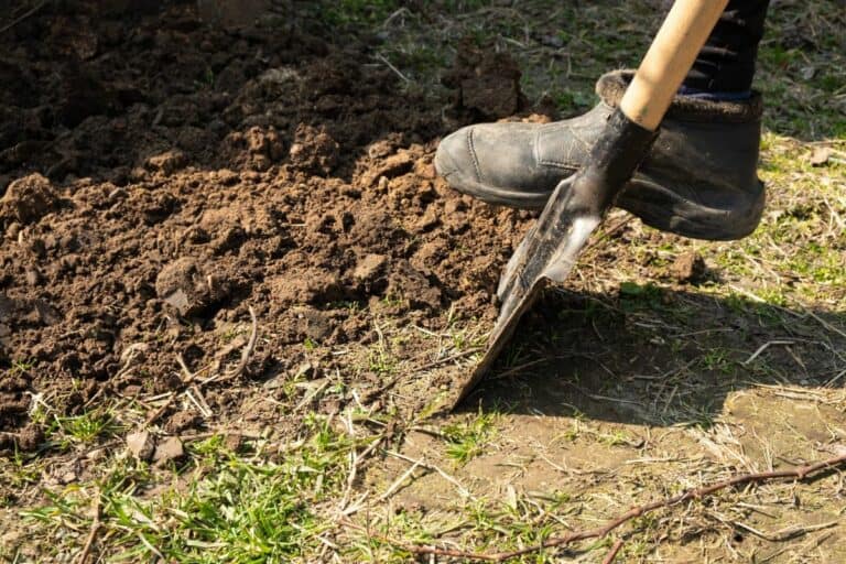 When and How Often to Till a Garden (Complete Guide) – TheGrowingLeaf