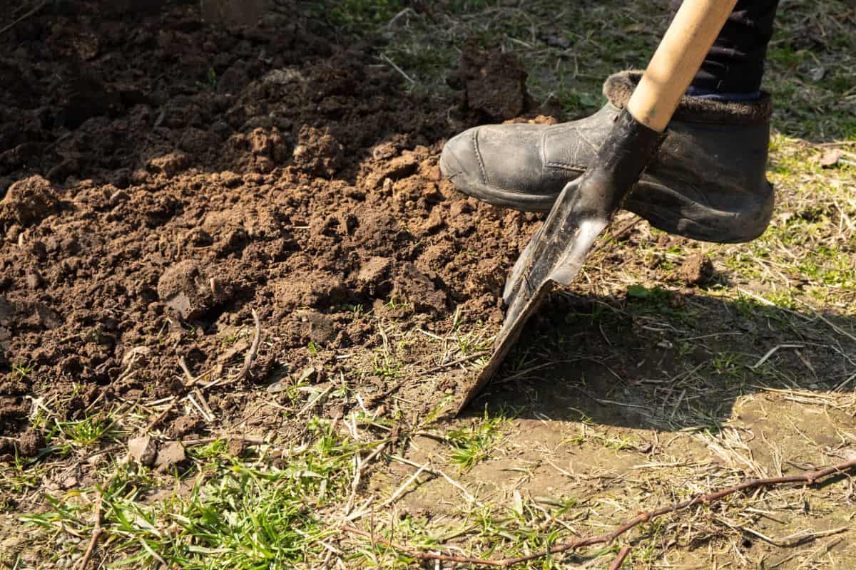 When and How Often to Till a Garden (Complete Guide) – TheGrowingLeaf