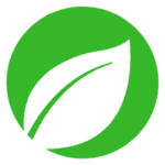 Overpotting Risks: How Too-Large Pots Affect Plant Health – TheGrowingLeaf