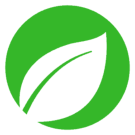 Overpotting Risks: How Too-Large Pots Affect Plant Health – TheGrowingLeaf