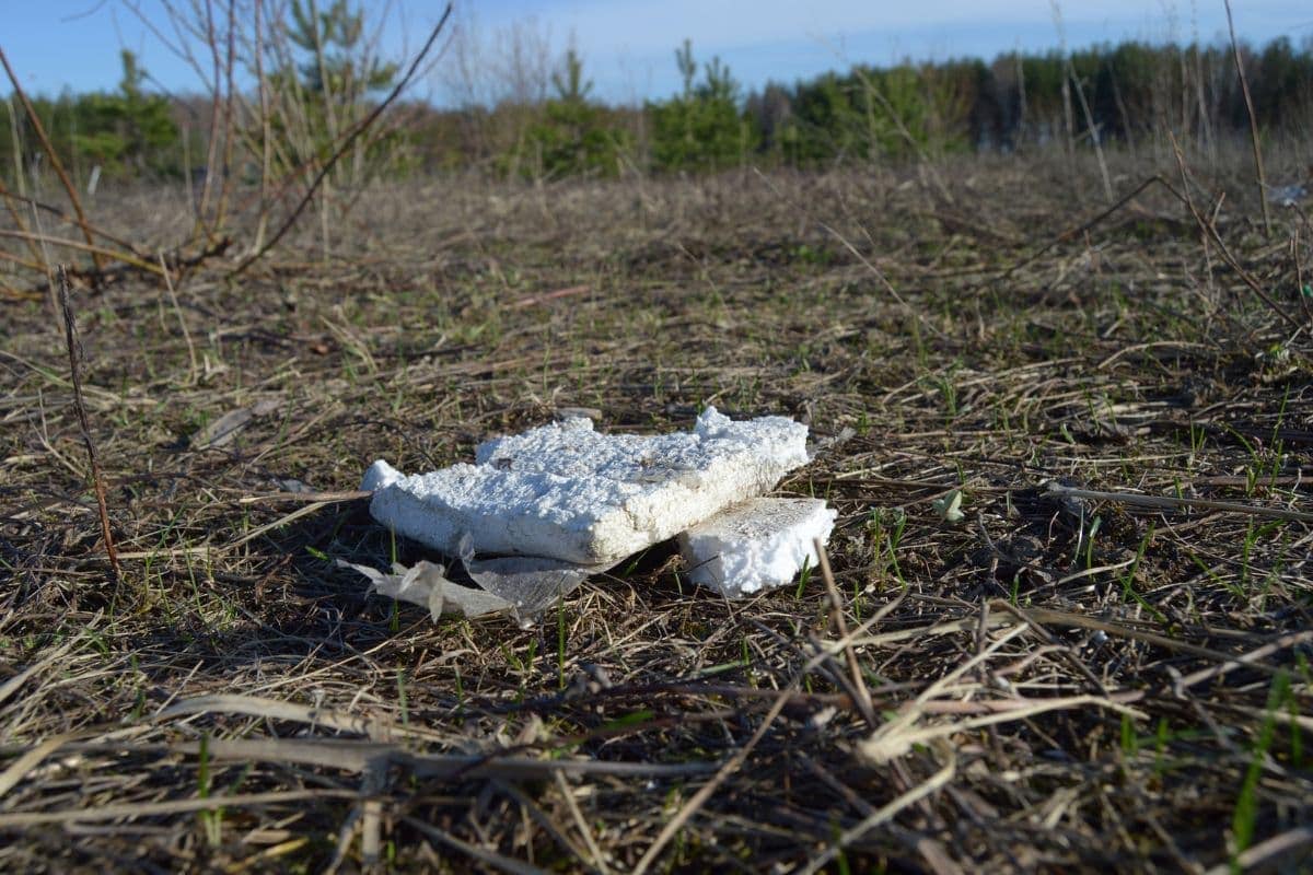 Styrofoam in Planter Bottoms: Drawbacks and Better Options – TheGrowingLeaf