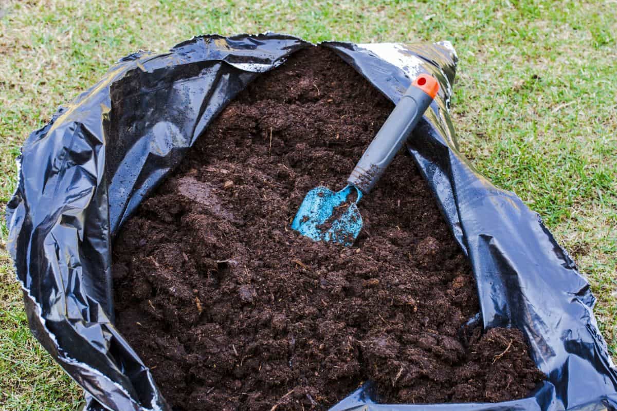 8 Best Organic Mulches for Vegetable Gardens Explained – TheGrowingLeaf