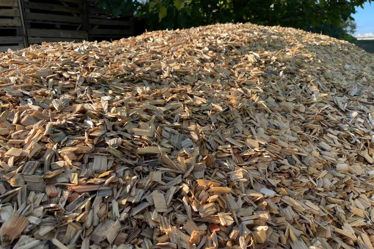 8 Best Organic Mulches for Vegetable Gardens Explained – TheGrowingLeaf